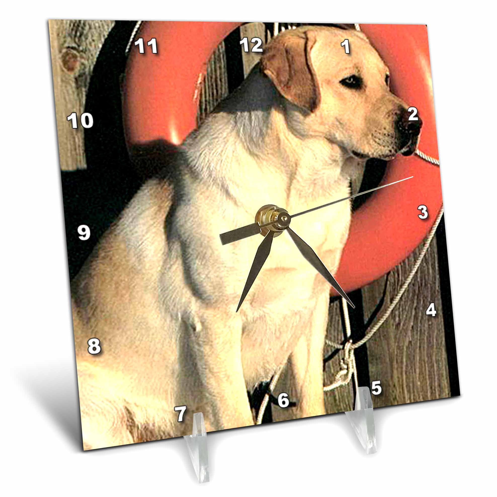 Yellow Labrador Lab, Desk Clock — 3dRose